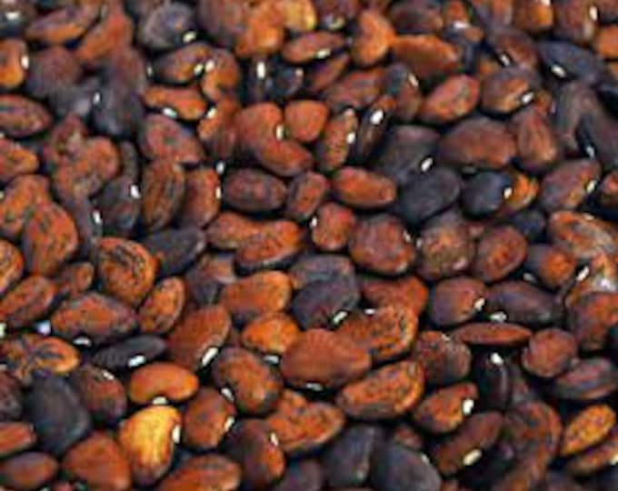 Jackson Wonder Lima Bean Seeds - Etsy