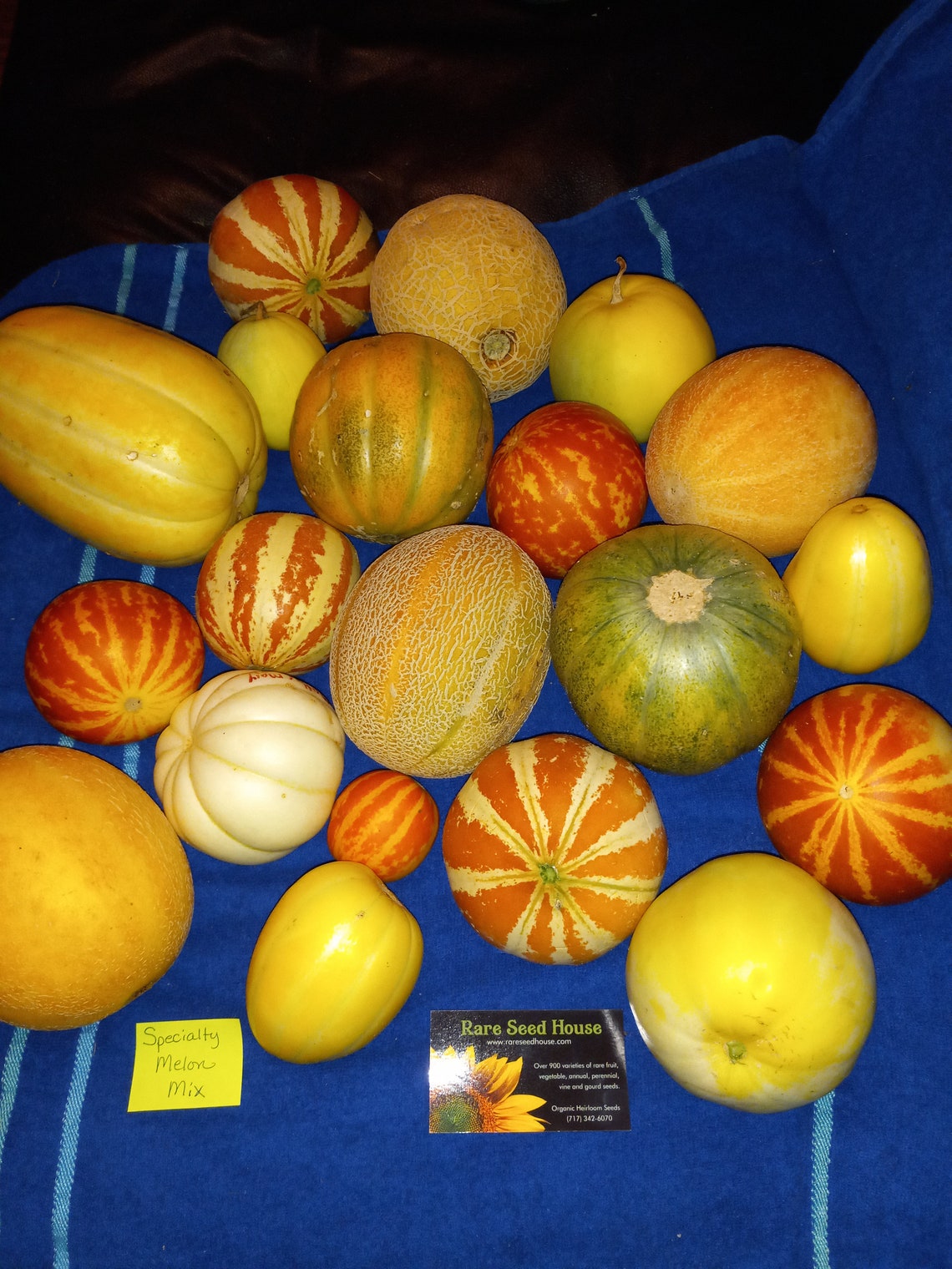 Mixed Specialty Mini Melons our Custom Mix | Etsy