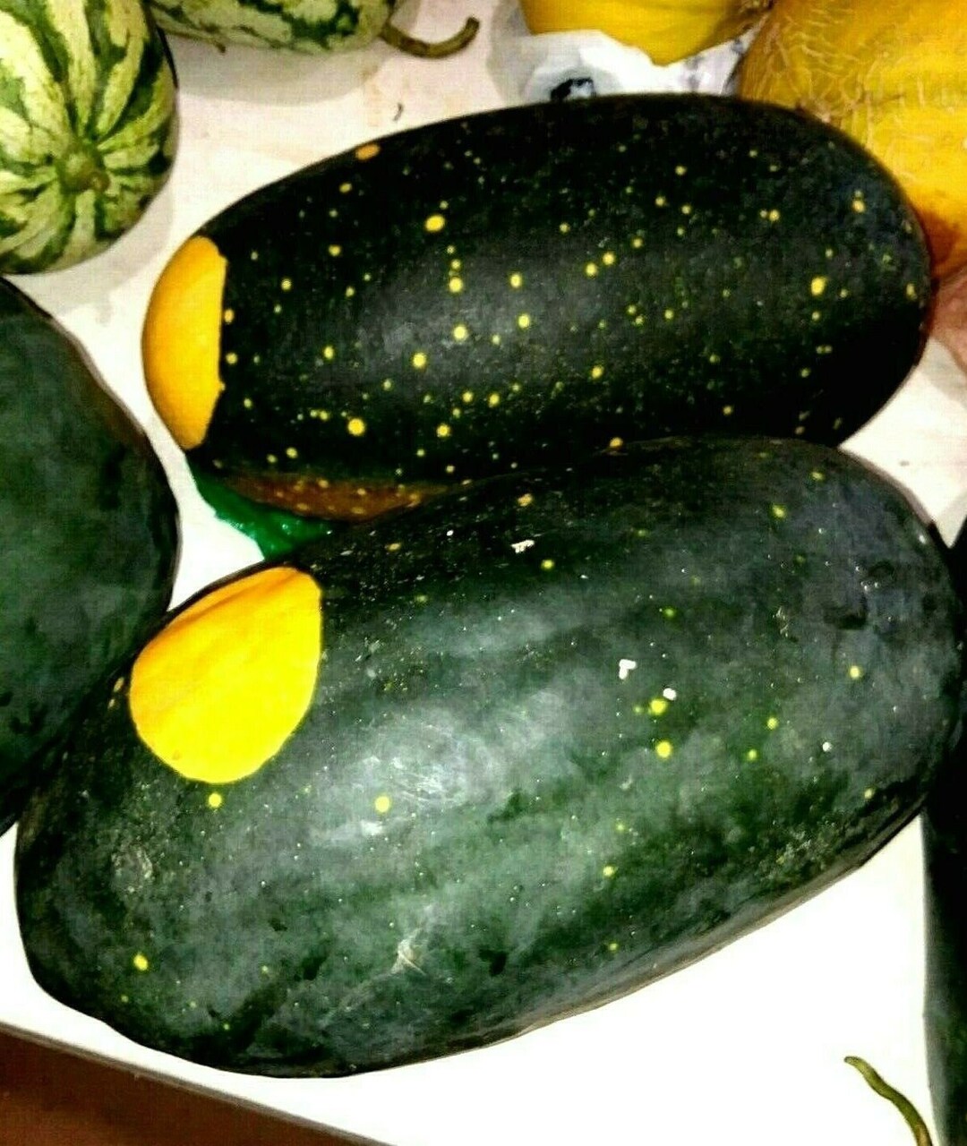 Moon & Stars Cherokee Watermelon ( Fruit and Leaves Variegated) - Etsy