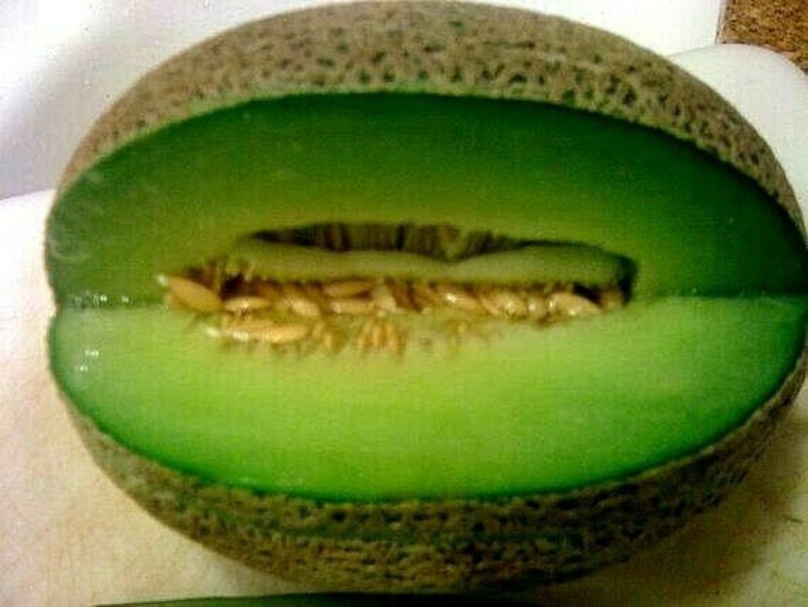 Green Nutmeg Melon - Etsy