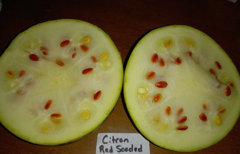 Citron Red Seeded Watermelon Seeds - Etsy
