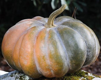 10 Heirloom Fairytale Pumpkin Seeds Tasty French Large Cooking - Etsy