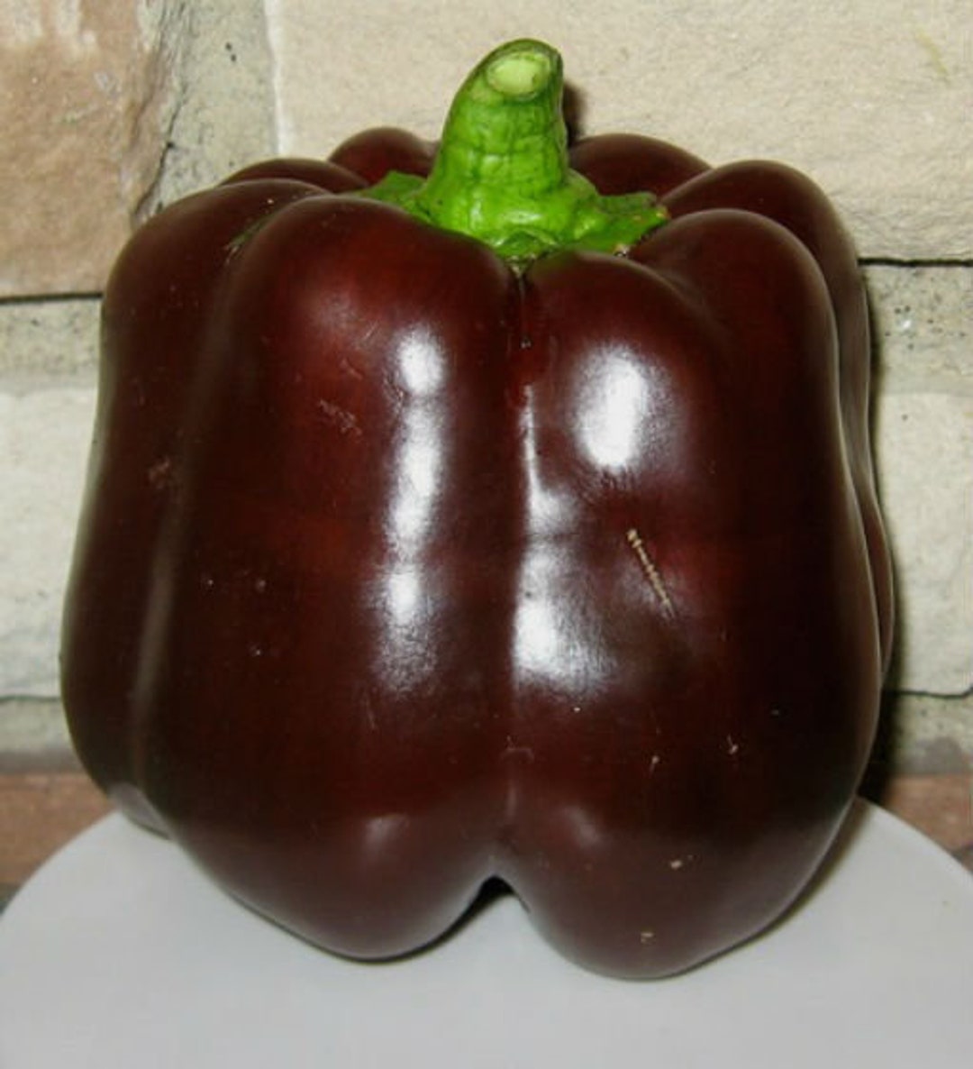 Chocolate Beauty Sweet Bell Pepper Seeds - Etsy