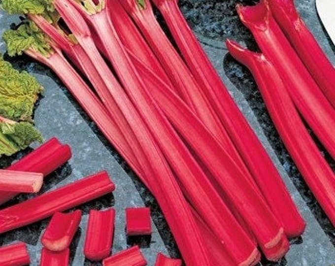 Victoria Rhubarb Seeds - Etsy