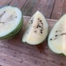 Giant Congo Watermelon Seeds - Etsy