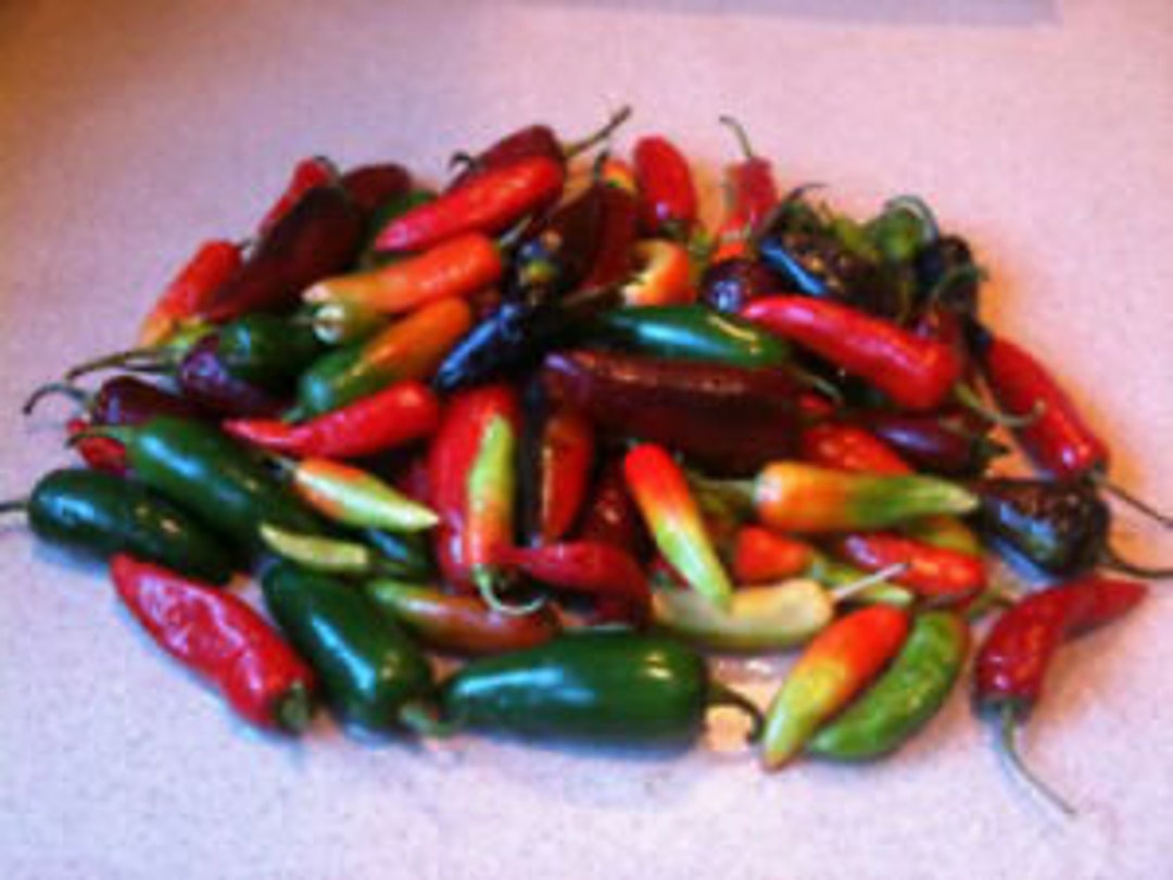 Assorted Hot Pepper Seeds - Etsy