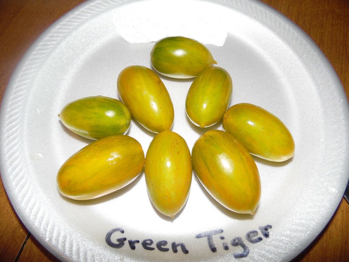 Green Tiger Tomato Seeds - Etsy