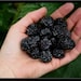 Black Raspberry Bush Seeds! Sweet Delicious Fruit! - Etsy