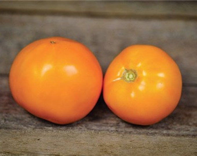 Dad's Sunset Tomato Seeds - Etsy