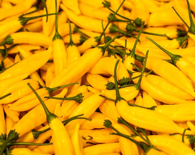 Lemon Drop Pepper Seeds - Etsy