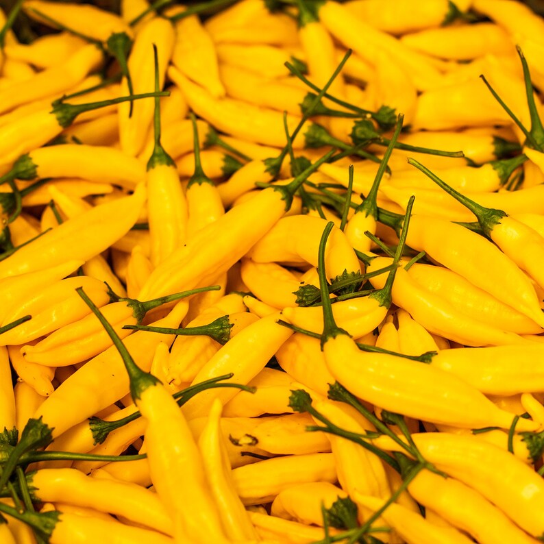 Lemon Drop Pepper Seeds - Etsy