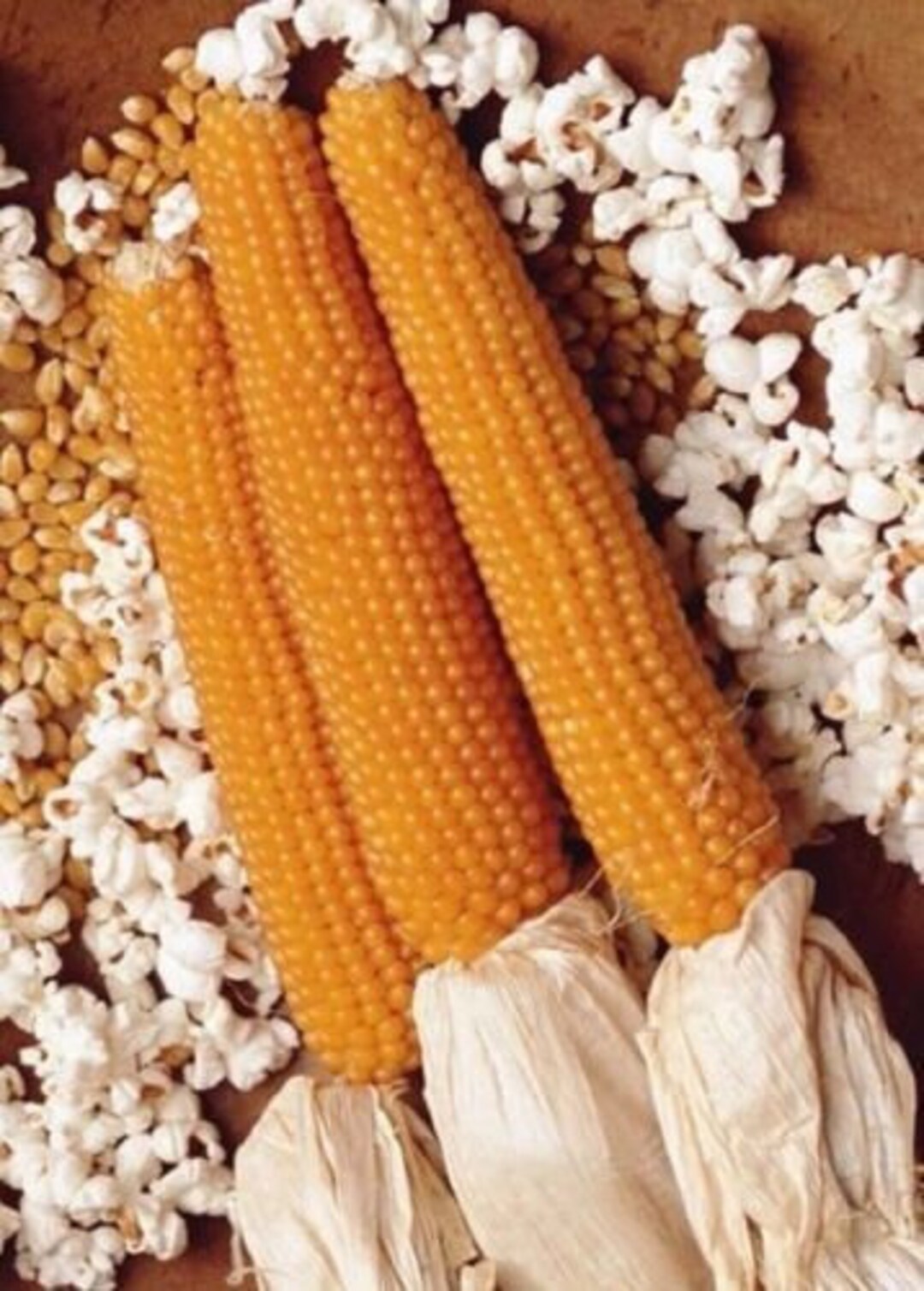 Yellow Lady Finger Popcorn - Etsy