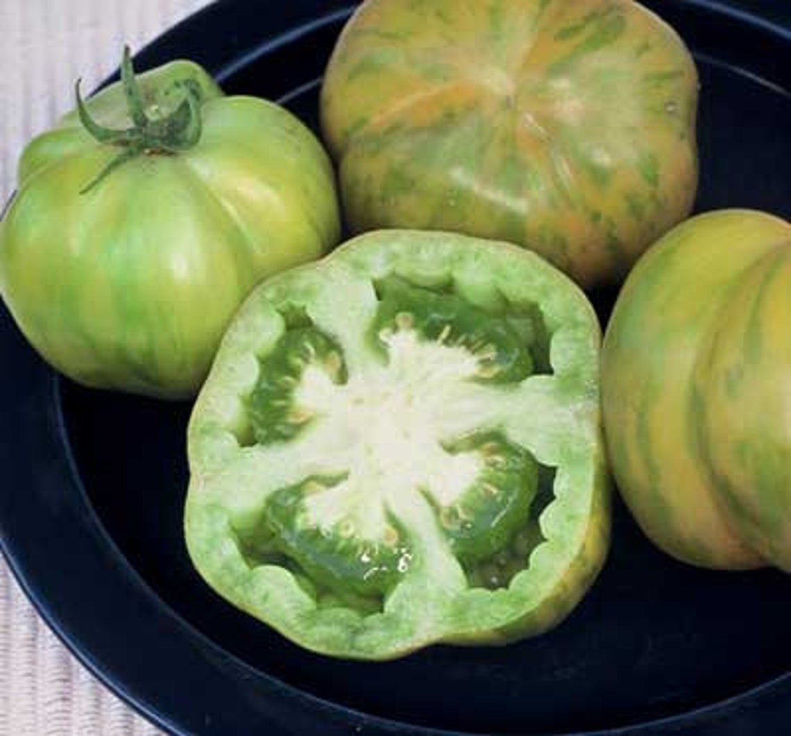 Green Bell Tomato - Great for Stuffing - Etsy