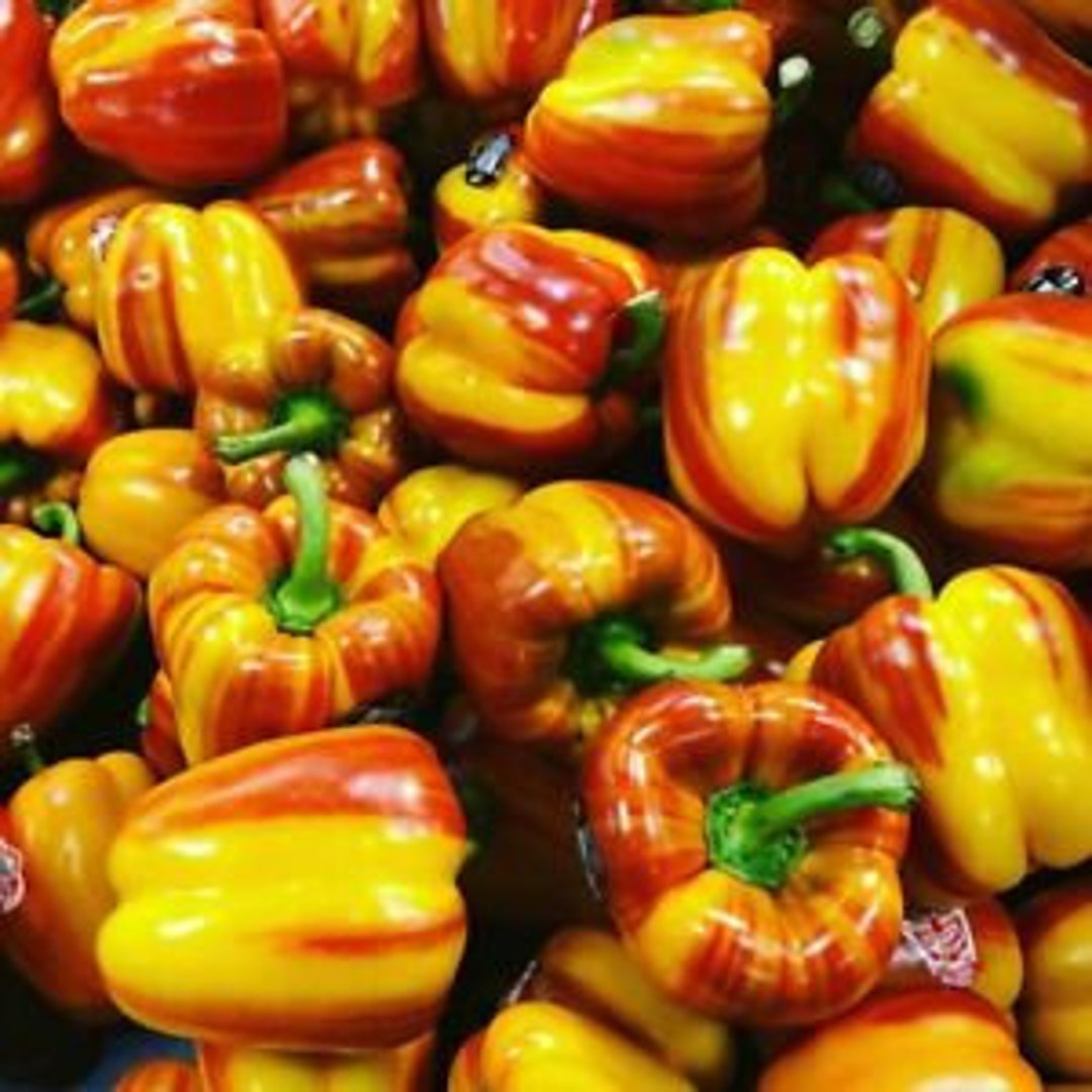 Aloha Super Sweet Bell Pepper Seeds - Etsy