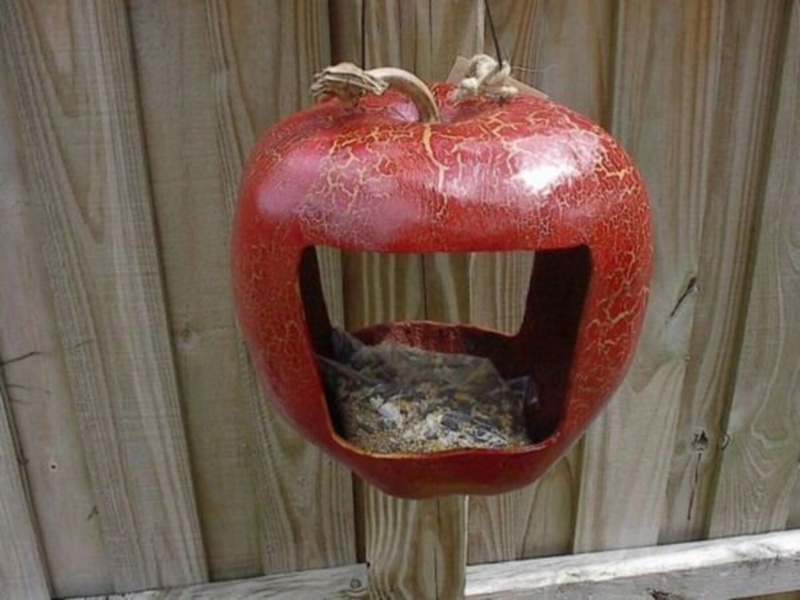 Apple Gourd Seeds - Etsy