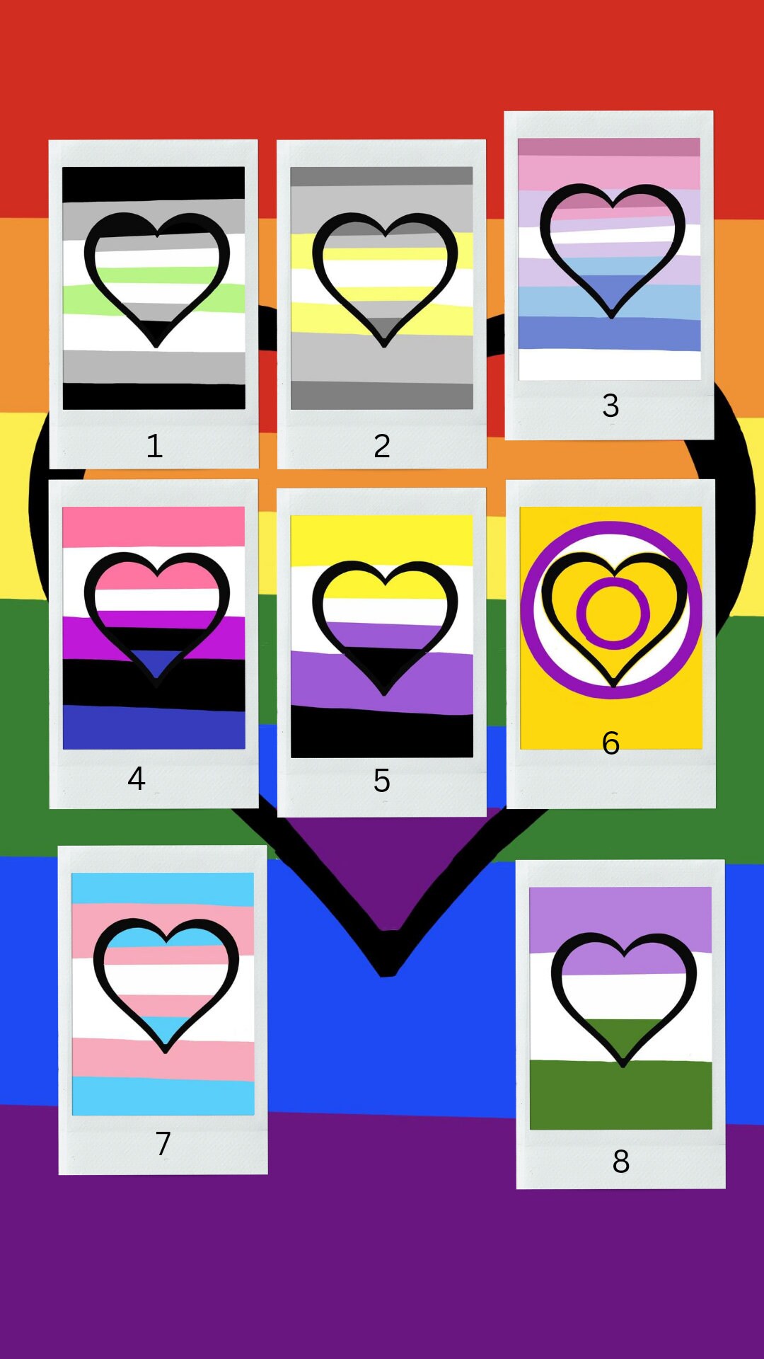 Gender Identity & Gender Expression Flags Polaroids - Etsy