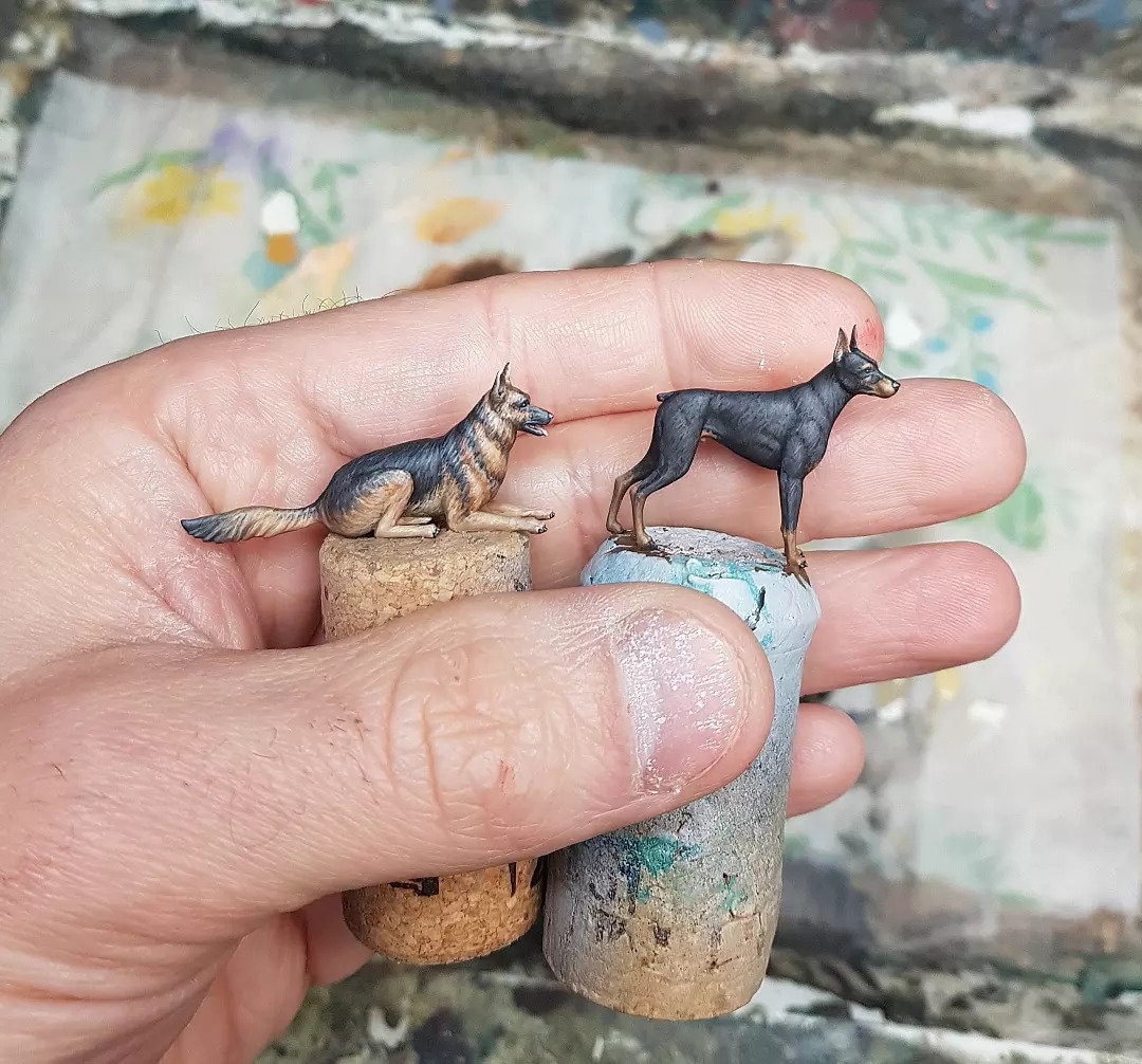 Animal Set - Dogs (6 Models) - Border Collie, Doberman and German ...