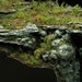 Tutorial - Creating a Big Diorama Base for the Fellowship of the Ring ...