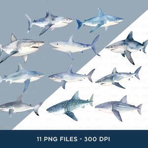 Watercolor Shark Clipart Bundle, Ocean Under the Sea Creatures Shark ...