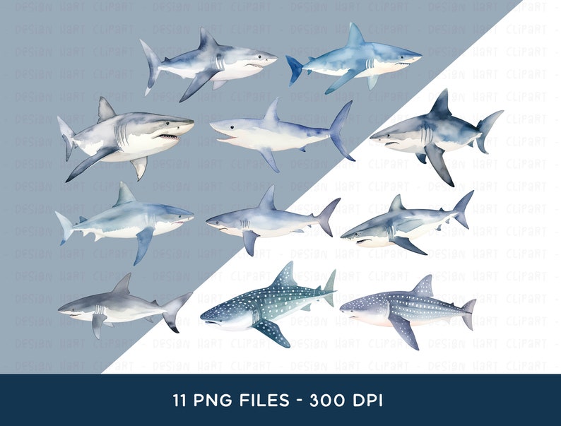 Watercolor Shark Clipart Bundle, Ocean Under the Sea Creatures Shark ...