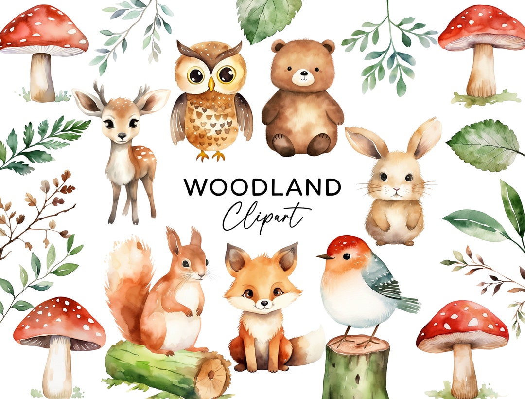 Woodland Animals Watercolor Clipart, Forest Creatures PNG Bundle Cute ...