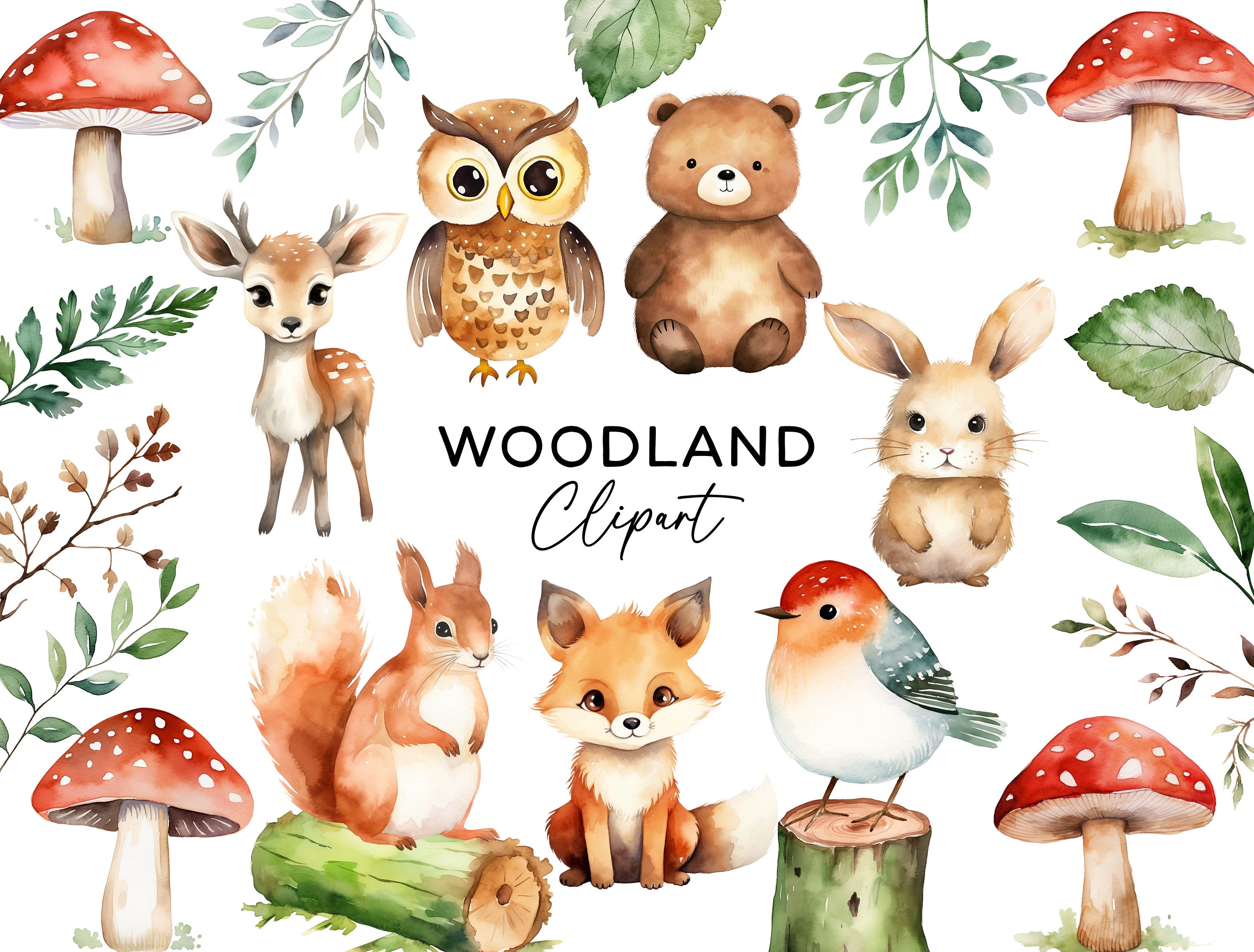 Woodland Animals Watercolor Clipart, Forest Creatures PNG Bundle Cute ...