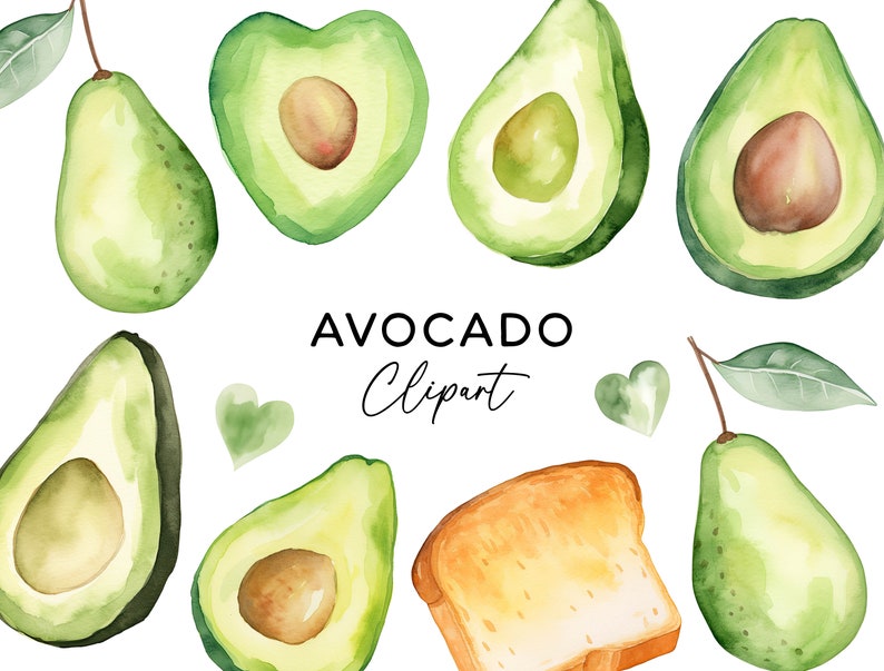 Avocado Clipart Bundle, Watercolor PNG Sublimation Graphics Commercial ...