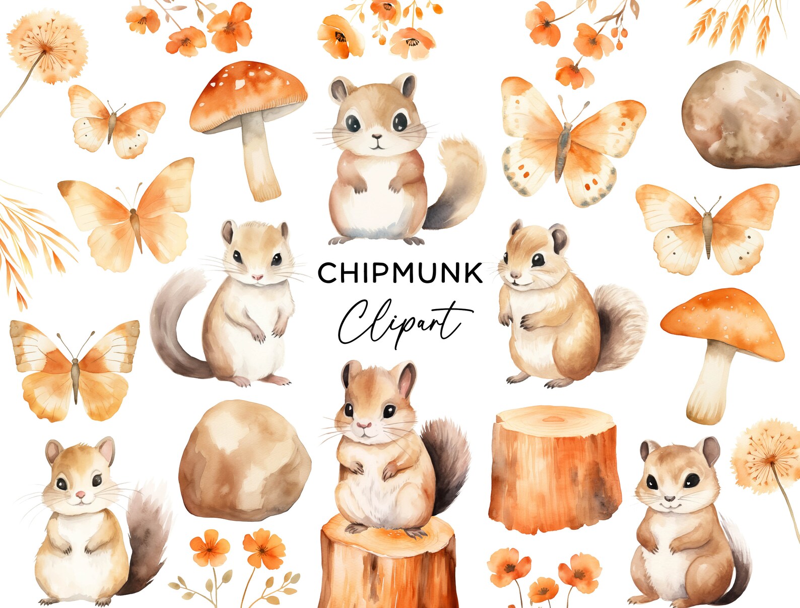 Chipmunk Clipart Bundle, Watercolor Woodland Animals PNG for Kids ...