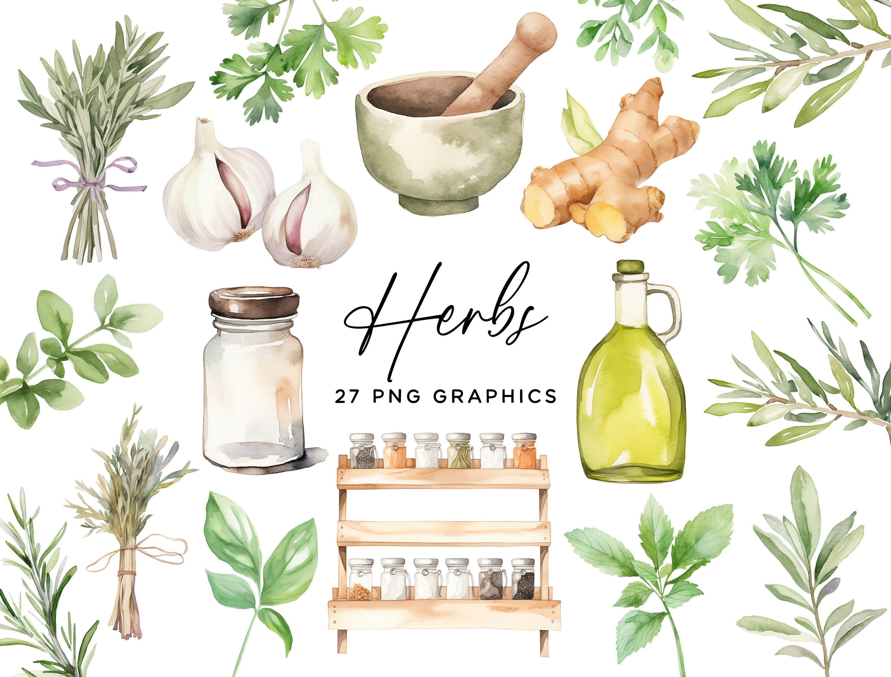 Herbs Clipart Bundle - Hand Painted Spices Watercolor Garlic Parsley ...