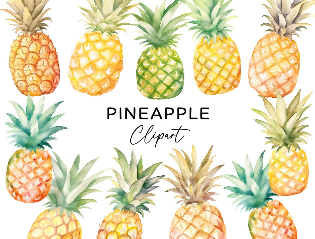 Pineapple Clipart Bundle, Watercolor Tropical Fruit PNG Hand Painted ...