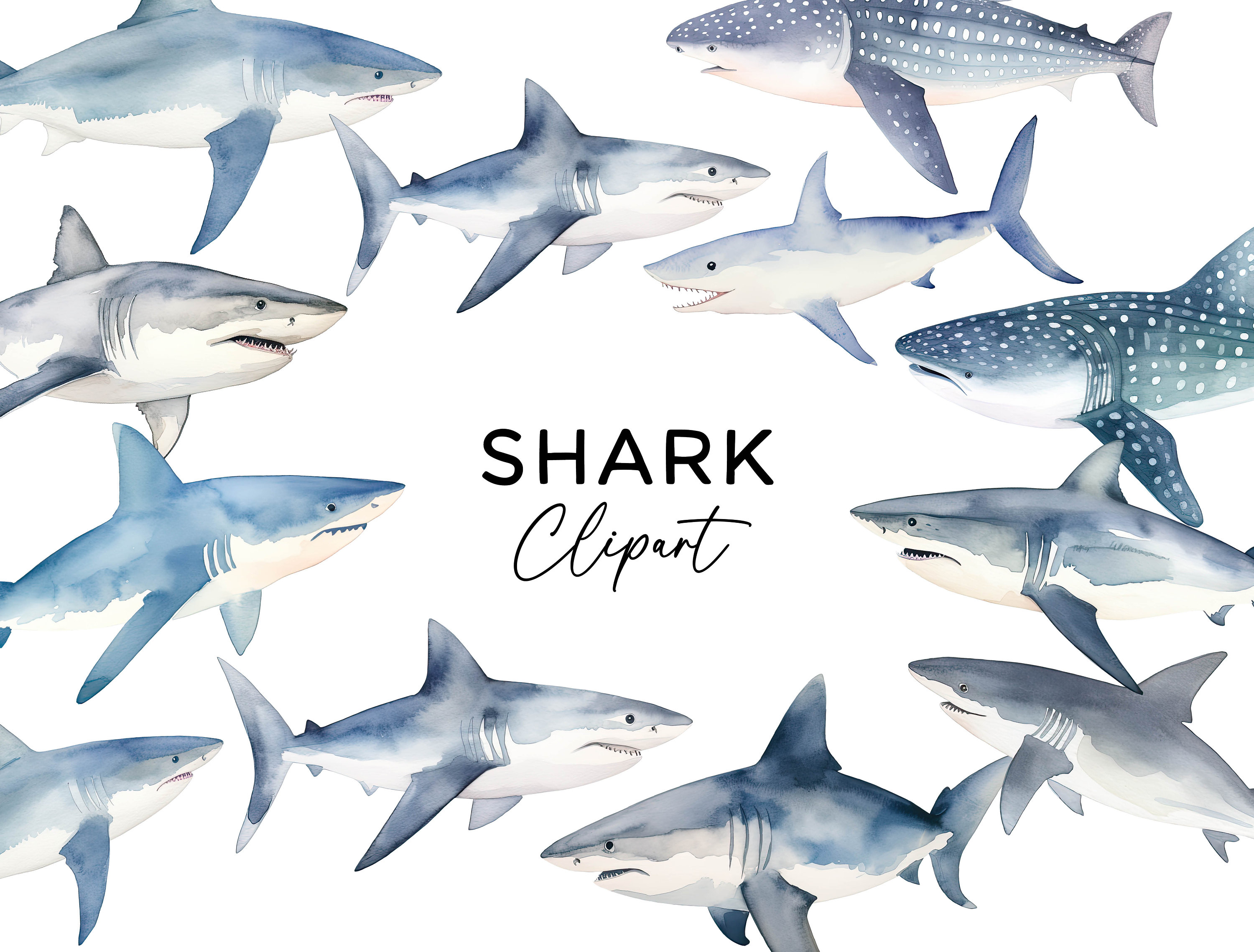 Watercolor Shark Clipart Bundle, Ocean Under the Sea Creatures Shark ...