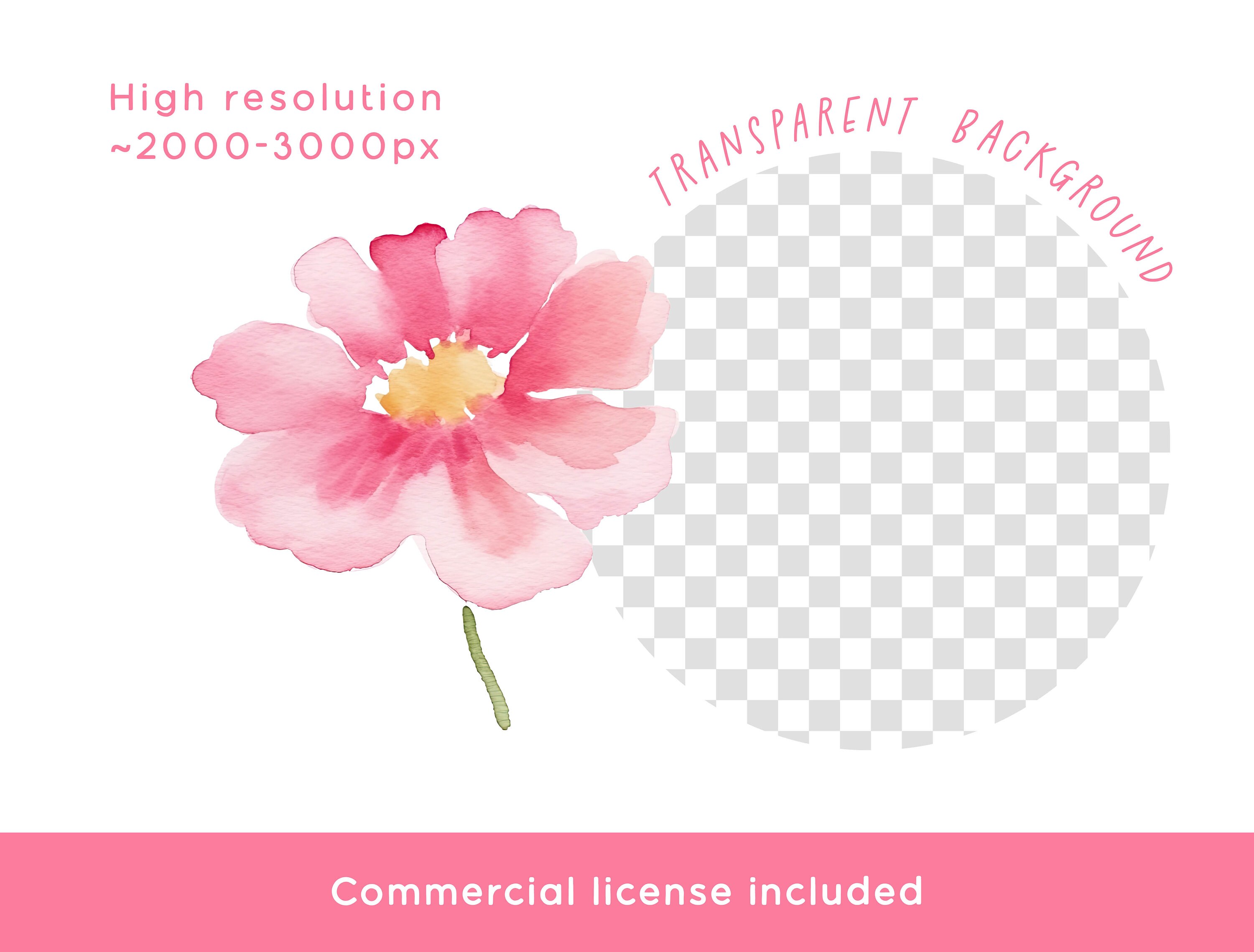 Watercolor Flowers Clipart Bundle Pink Floral Elements - Etsy