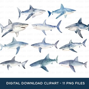 Watercolor Shark Clipart Bundle, Ocean Under the Sea Creatures Shark ...
