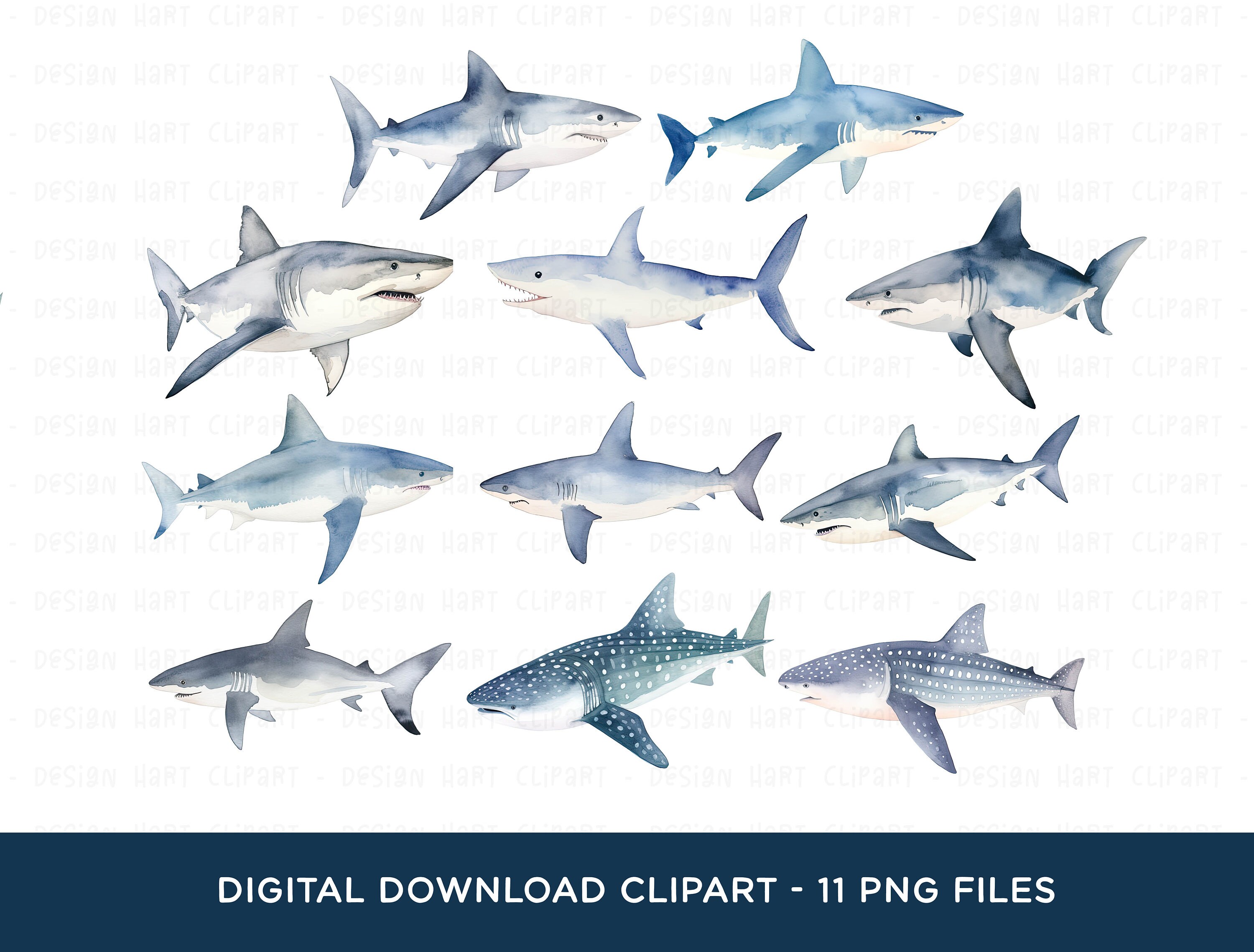 Watercolor Shark Clipart Bundle, Ocean Under the Sea Creatures Shark ...