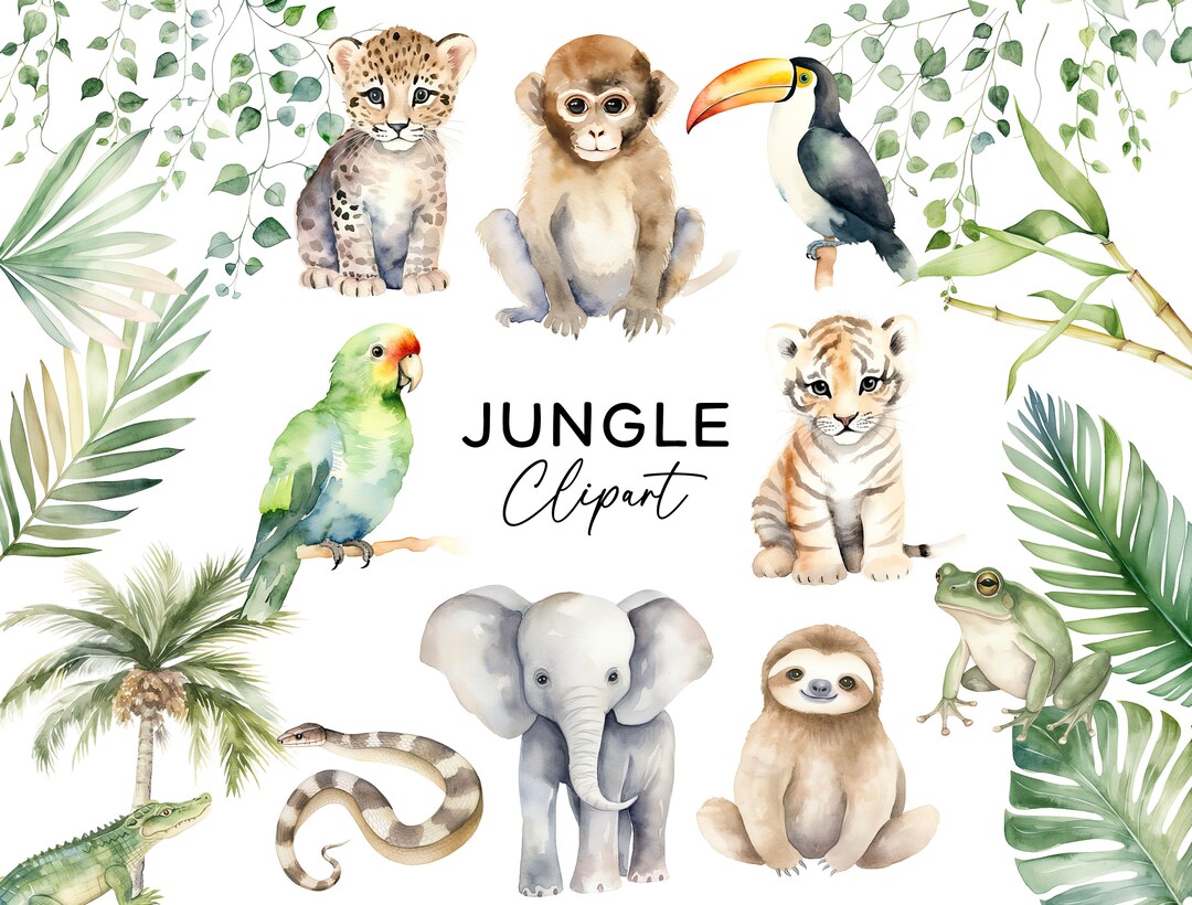 Jungle Animal Clipart Bundle, Watercolor Elephant Tiger Sloth Toucan ...