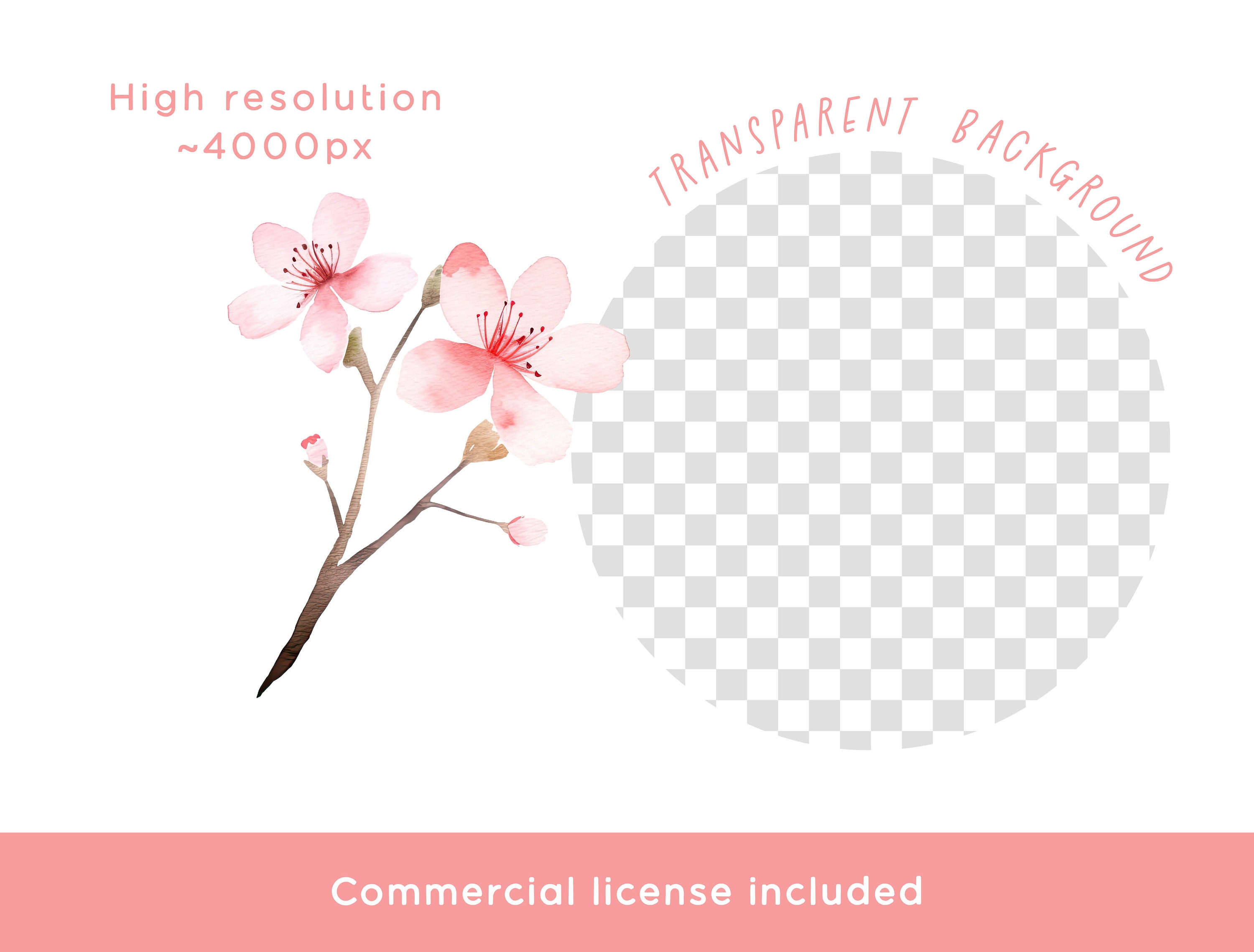 Blossom Clipart Set, Watercolor Spring Cherry Floral Blossoms Pink ...