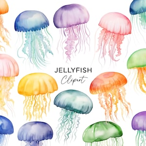 Jellyfish Clipart Bundle, PNG Graphics Digital Download Watercolor ...