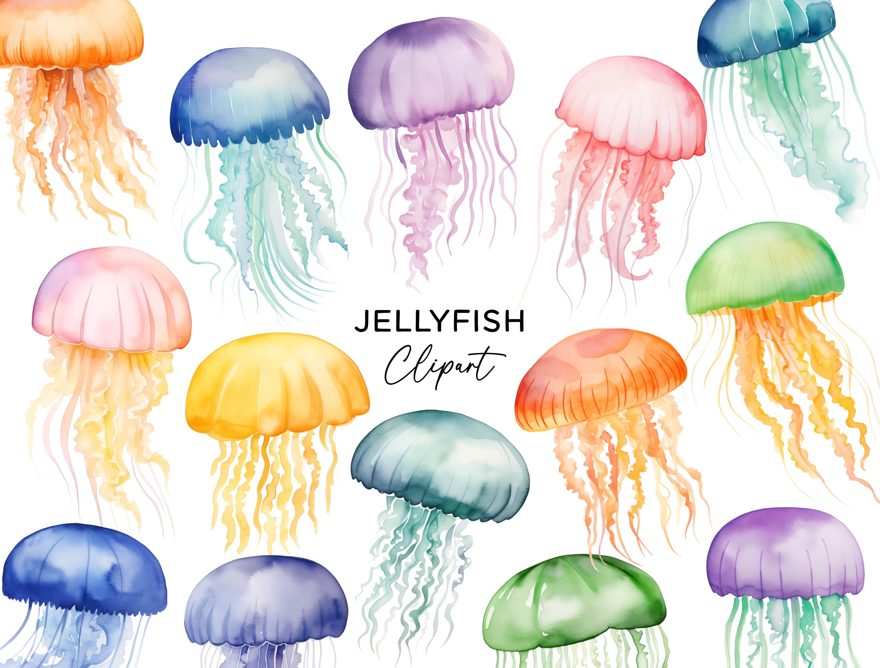 Jellyfish Clipart Bundle, PNG Graphics Digital Download Watercolor ...