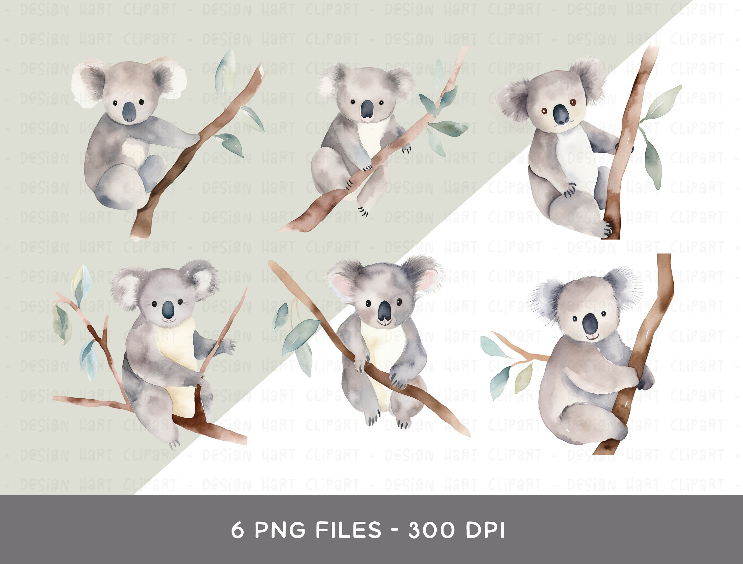 Koala Clipart, Watercolor Australian Zoo Animal PNG, Digital Download ...