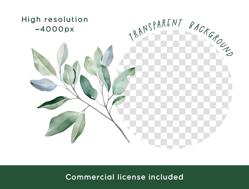 Eucalyptus Clipart, Soft Green Watercolor PNG Graphic for Commercial ...