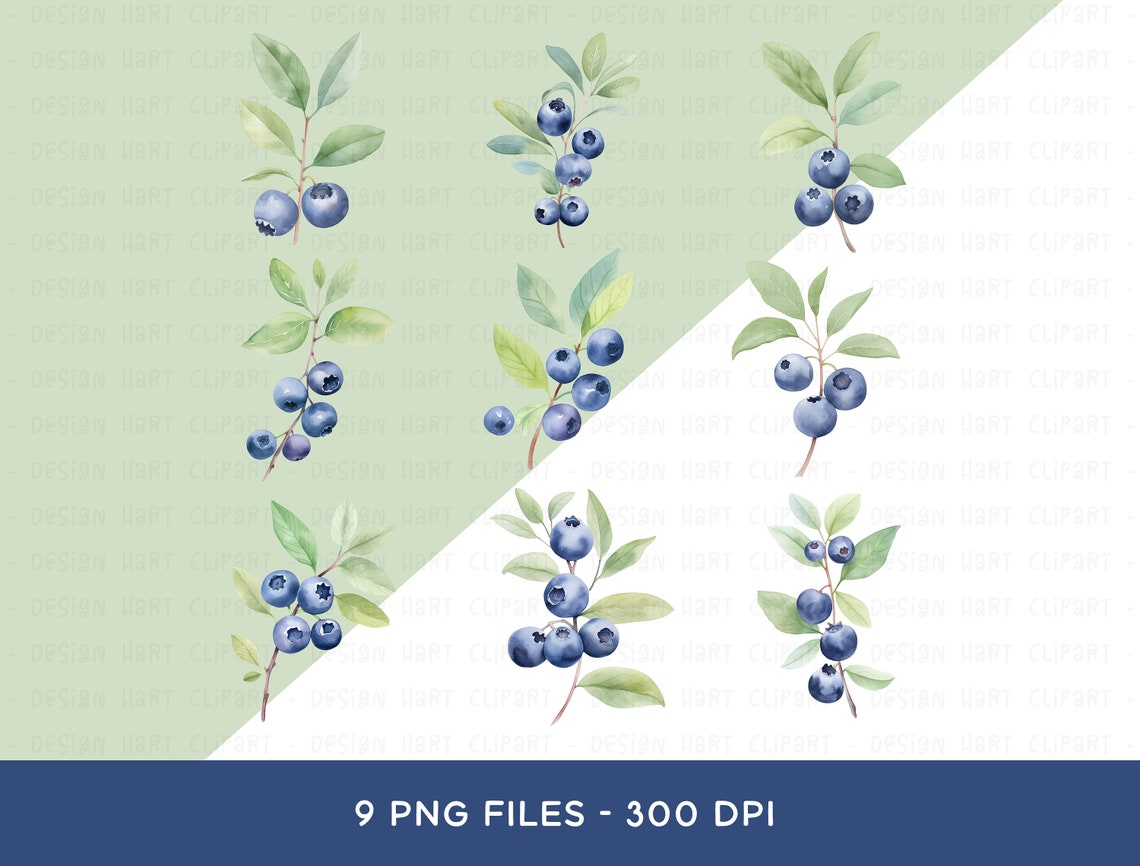 Blueberry Clipart Bundle Set, Watercolor PNG Graphics for Commercial ...