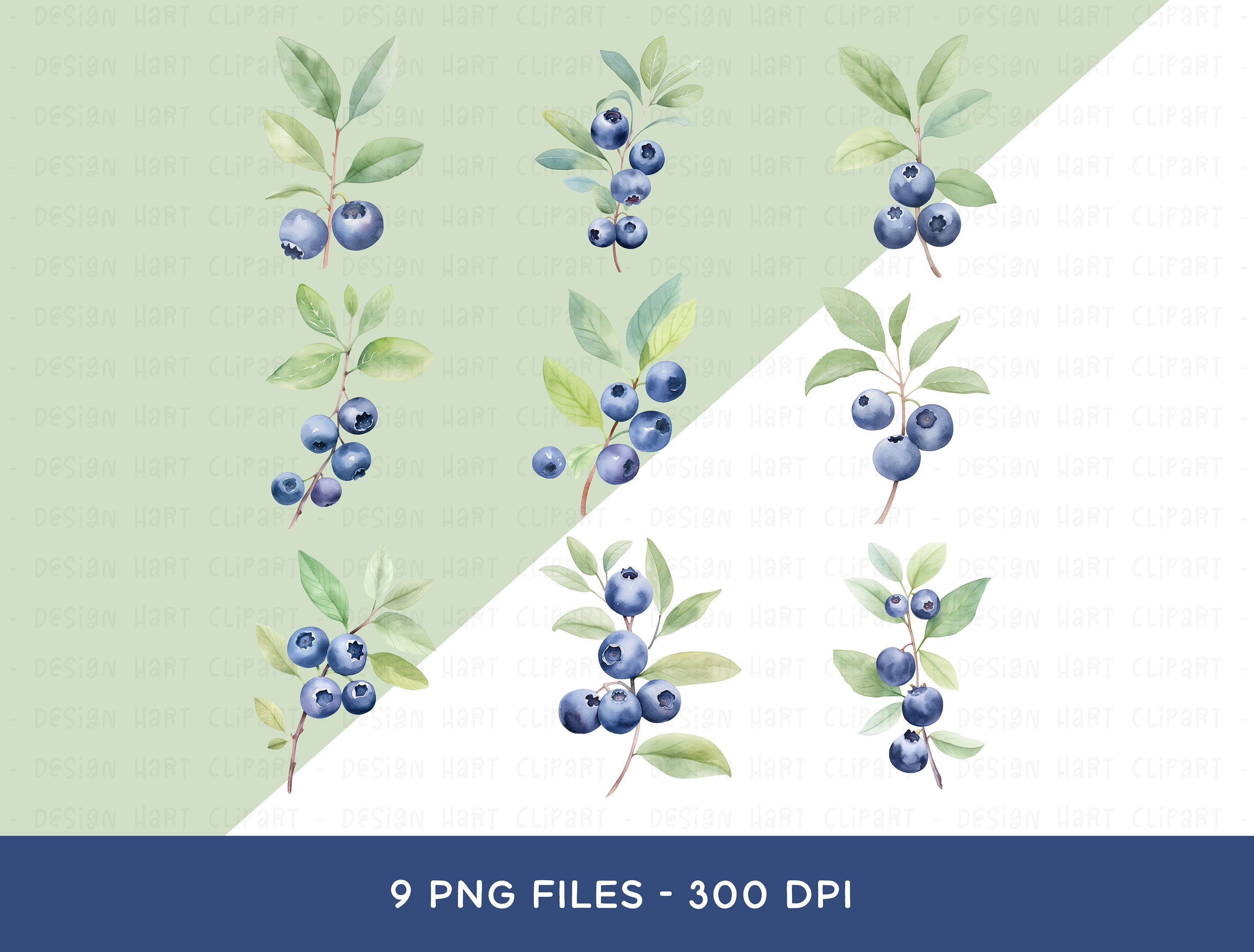 Blueberry Clipart Bundle Set, Watercolor PNG Graphics for Commercial ...