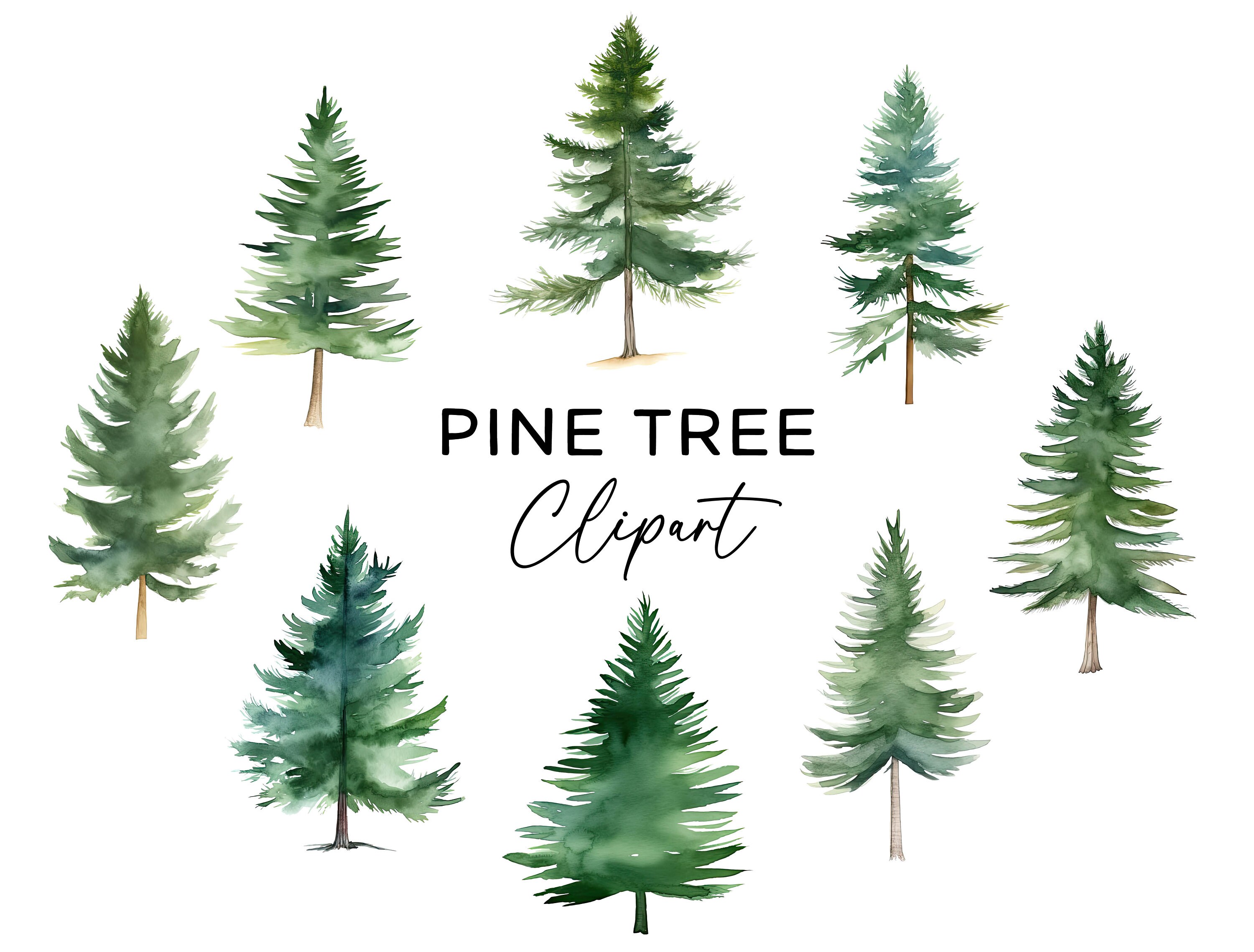Pine Tree Clipart Bundle, Watercolor Christmas Trees Winter Forest ...