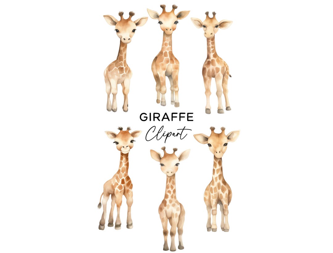 Giraffe Clipart Bundle, PNG Digital Download Watercolor Safari Zoo ...