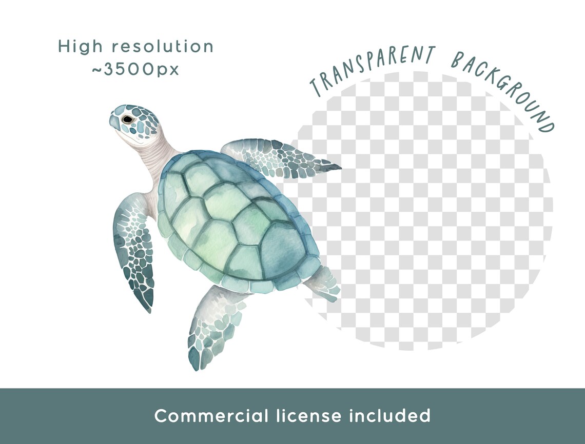 Sea Turtle Clipart Set, Watercolor Ocean Creature Graphics Blue Green ...