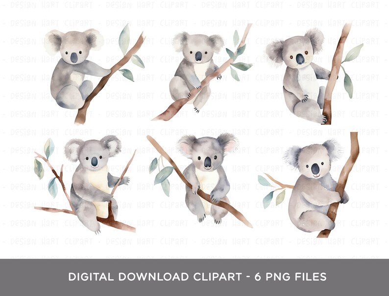 Koala Clipart, Watercolor Australian Zoo Animal PNG, Digital Download ...
