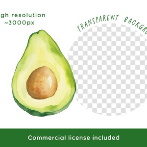Avocado Clipart Bundle, Watercolor PNG Sublimation Graphics Commercial ...