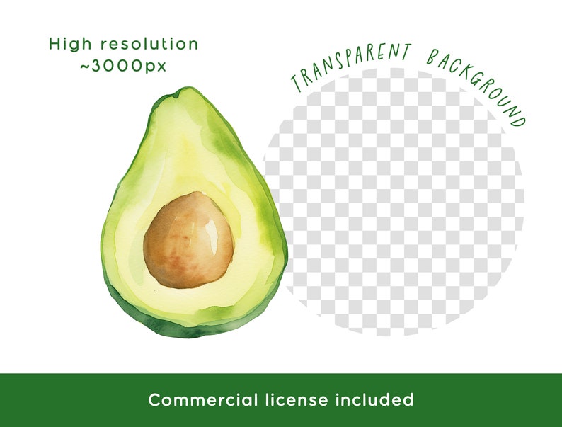 Avocado Clipart Bundle, Watercolor PNG Sublimation Graphics Commercial ...