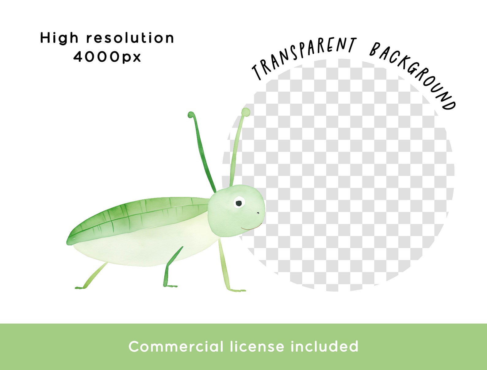 Bugs Clipart Bundle, Cute Ladybug Bee Grasshopper Moth Butterfly ...