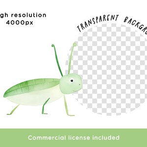 Bugs Clipart Bundle, Cute Ladybug Bee Grasshopper Moth Butterfly ...